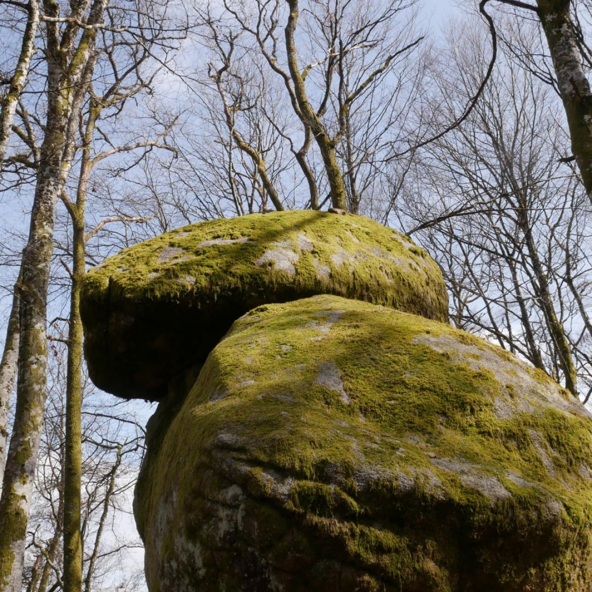 Creuse Sud Ouest | Tourisme Creuse Limousin