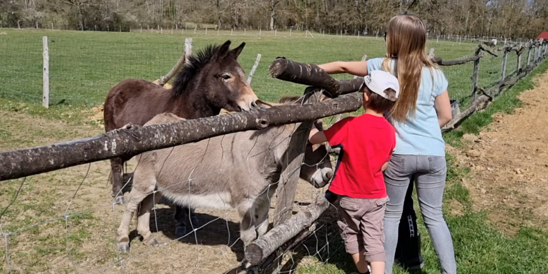 Unusual encounters in a farm like no other | Tourisme Creuse Limousin