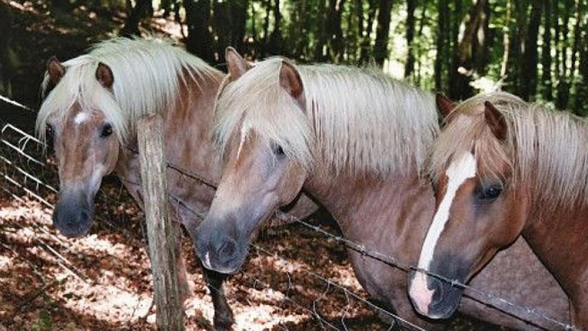 Hiking in the green and blue country | Tourisme Creuse Limousin
