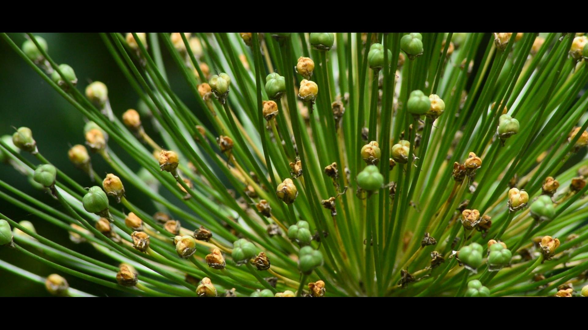 Aulon | Tourisme Creuse Limousin