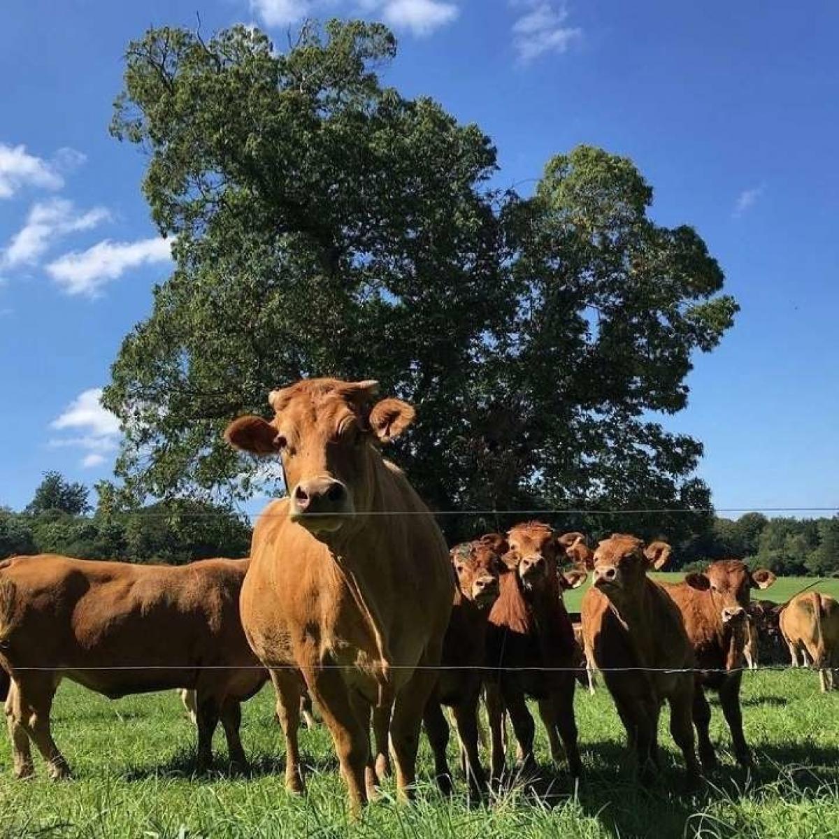 Top 10 des plus beaux panoramas en Creuse | Tourisme Creuse Limousin