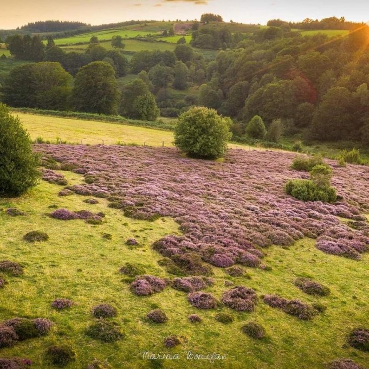 Top 10 des plus beaux panoramas en Creuse | Tourisme Creuse Limousin