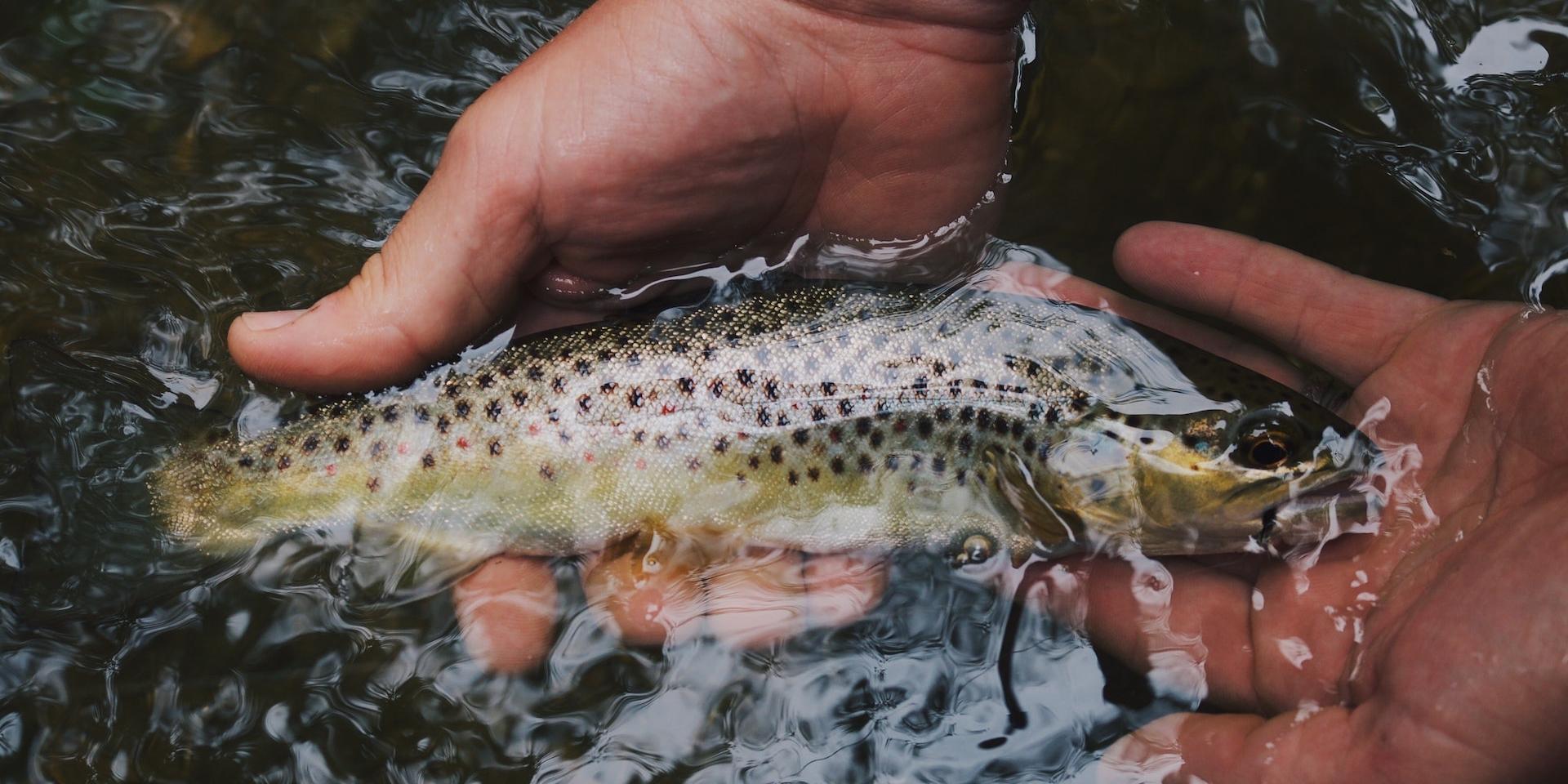 Pêche | Tourisme Creuse Limousin
