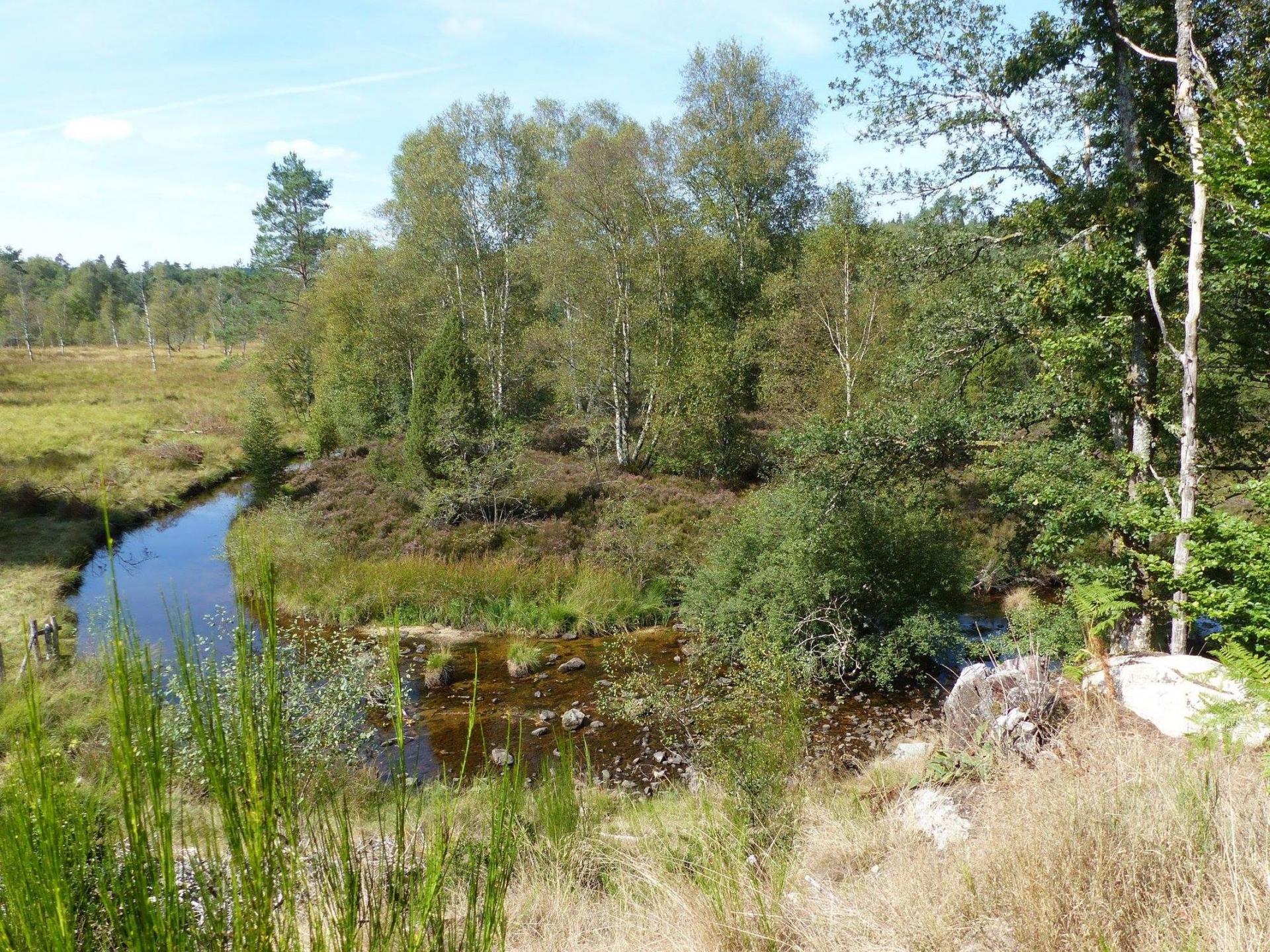 La Tourbière de la Mazure | Tourisme Creuse Limousin