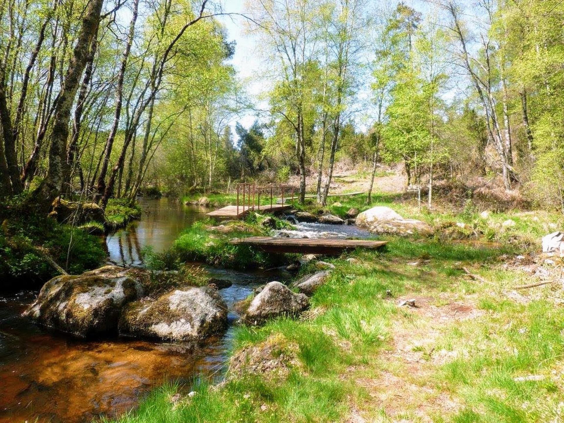 La Tourbière de la Mazure | Tourisme Creuse Limousin