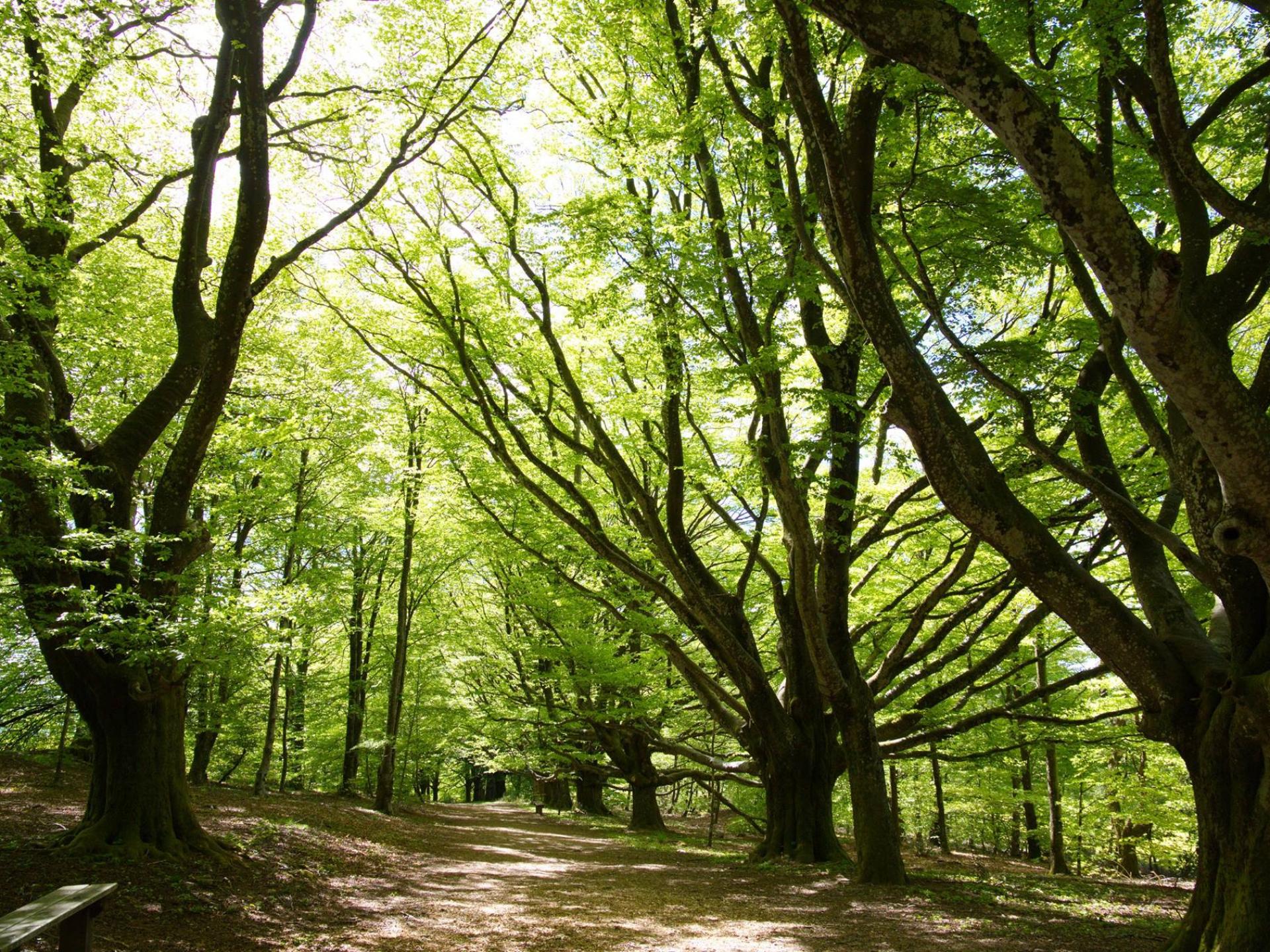 Le Mont Gargan | Tourisme Creuse Limousin