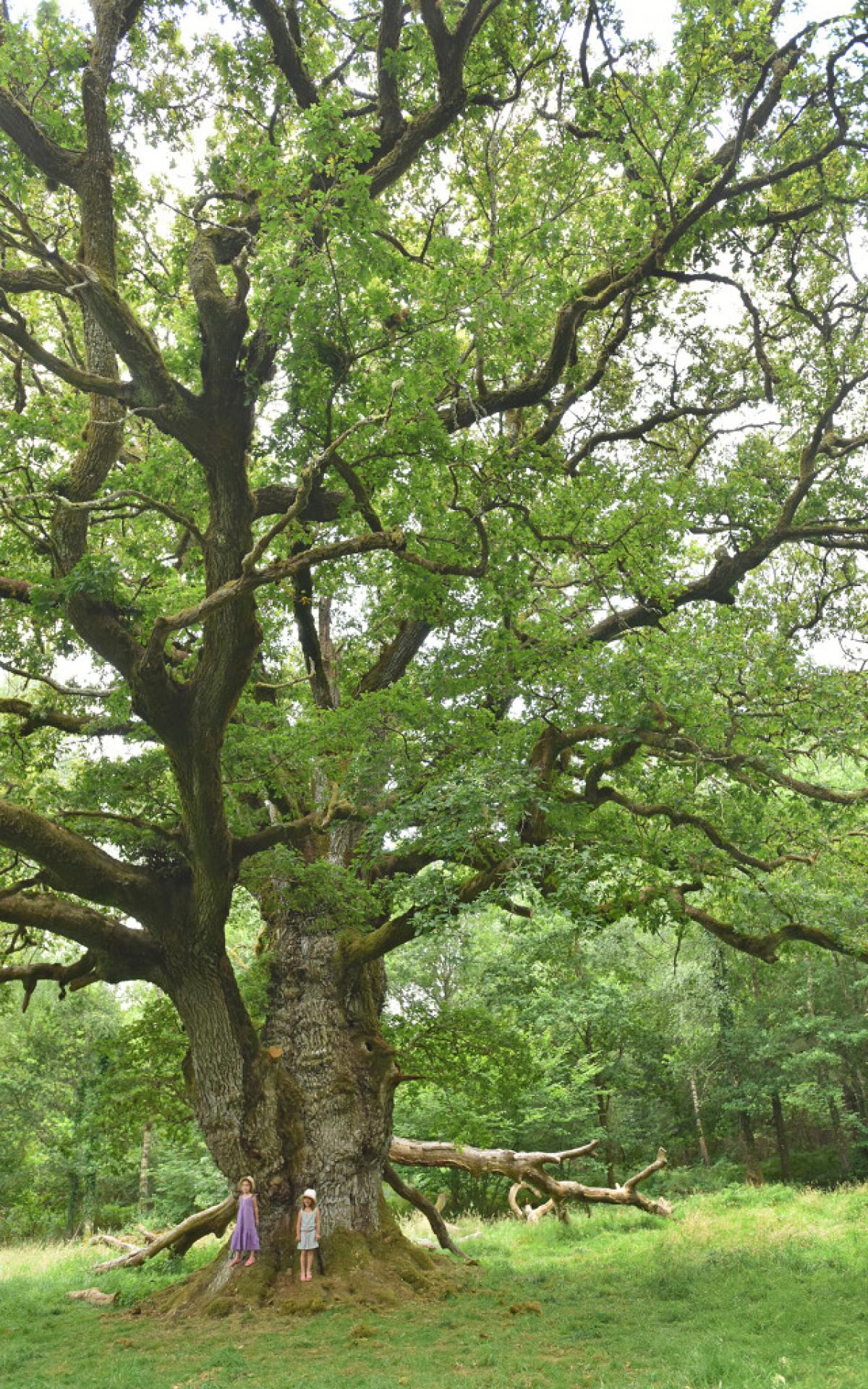 Arrènes | Tourisme Creuse Limousin