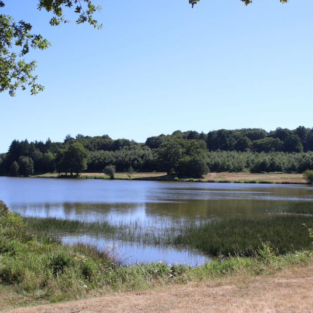 Marsac | Tourisme Creuse Limousin