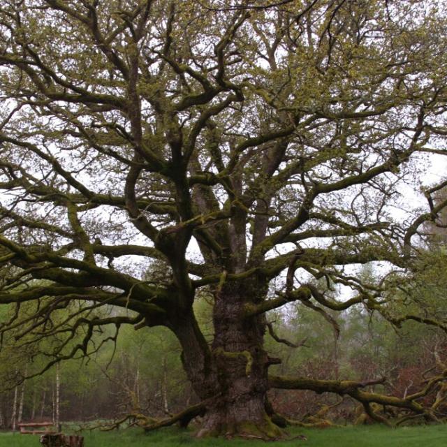 Arrènes | Tourisme Creuse Limousin
