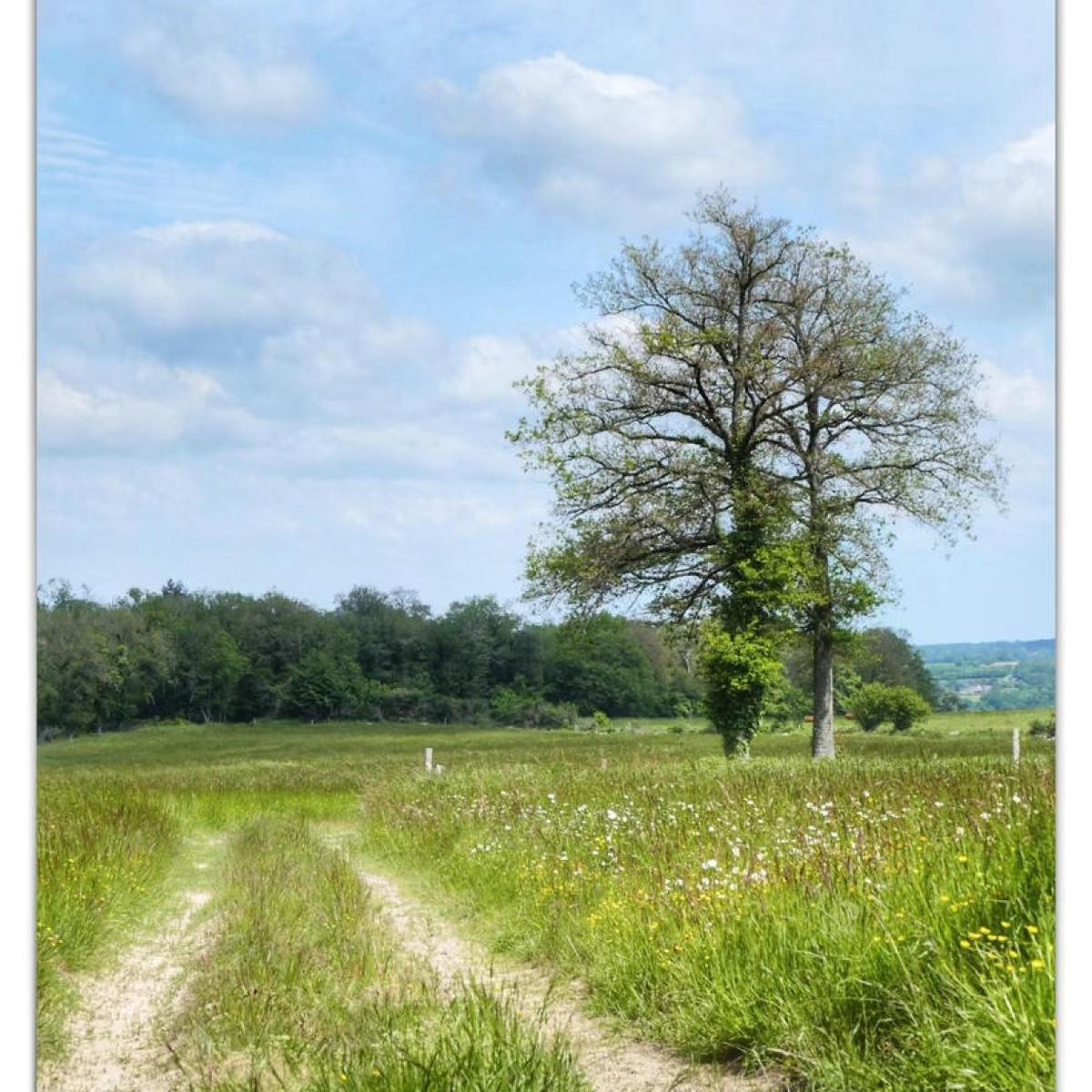 Top 10 des plus beaux panoramas en Creuse | Tourisme Creuse Limousin