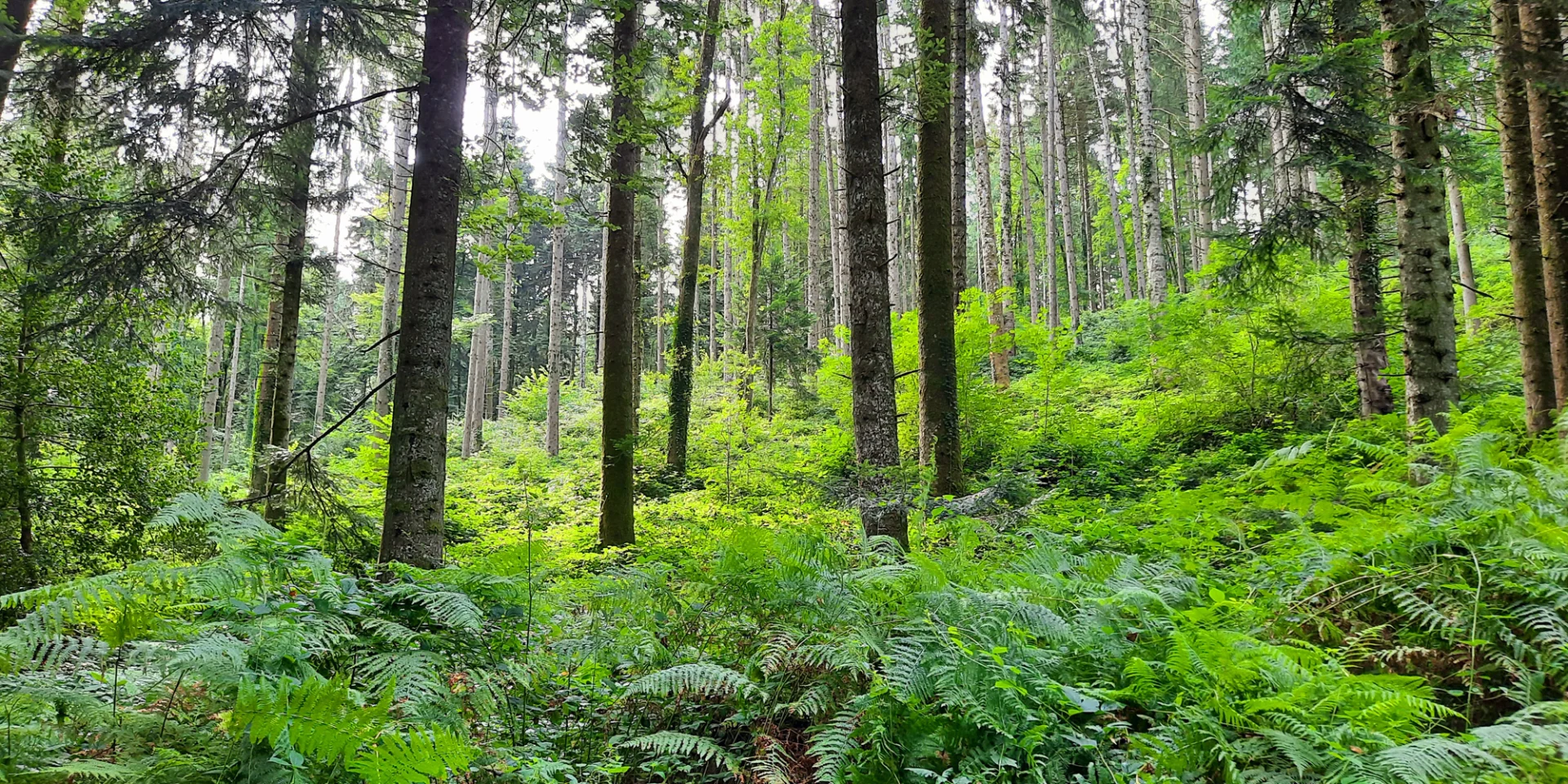 Ecotourisme | Tourisme Creuse Limousin