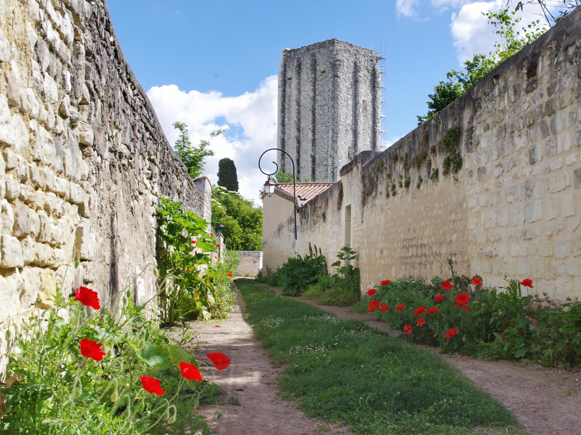 Les Moulins du Pays Loudunais | Office de Tourisme du Pays Loudunais