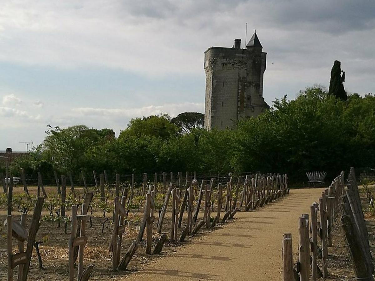 Les Treilles de la Reine Blanche | Office de Tourisme du Pays Loudunais