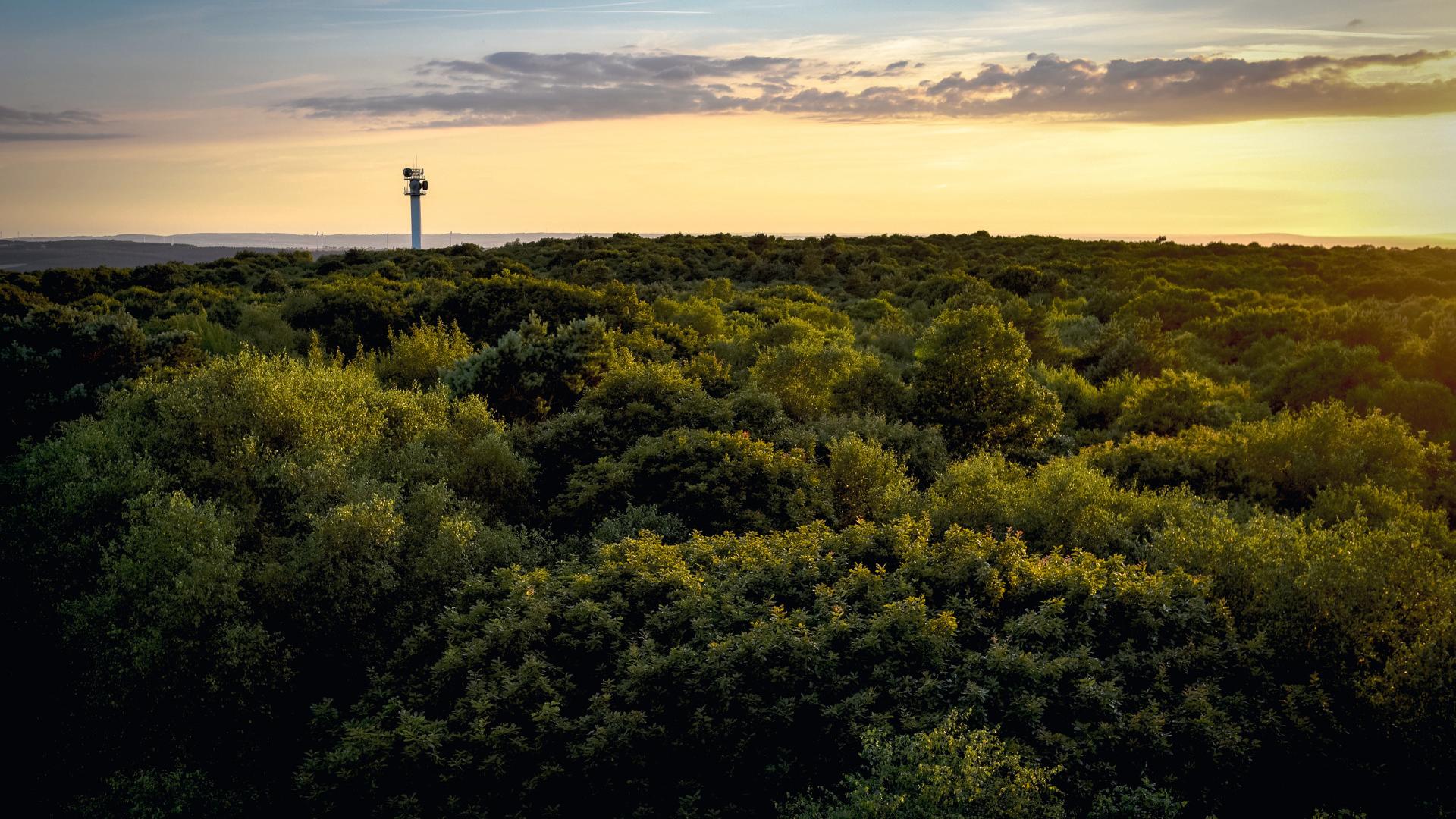 Laval Tourisme | tourisme-mayenne-pro