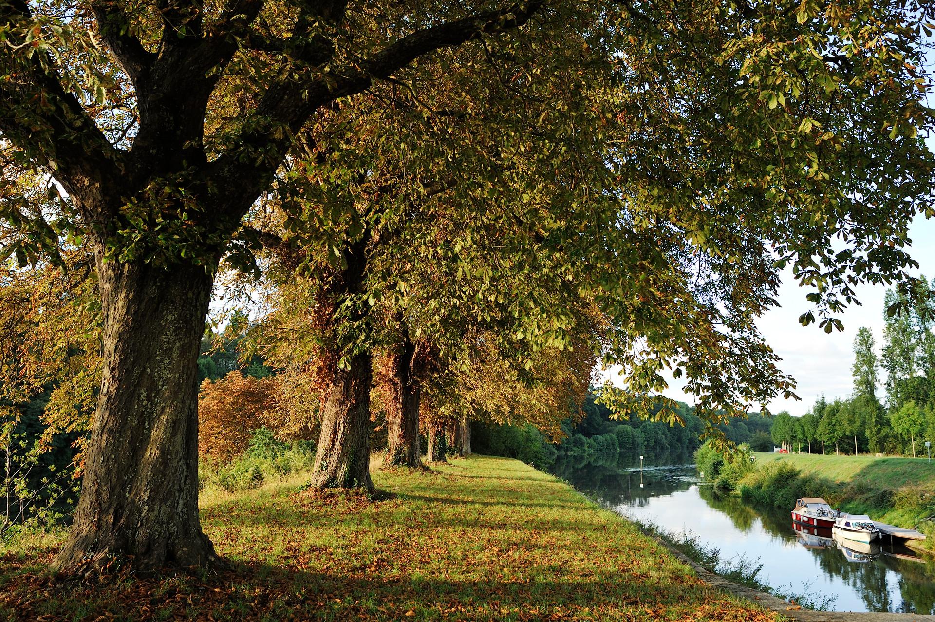 Le chemin de halage de la Mayenne | Portail du tourisme du département ...