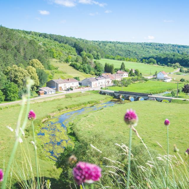Les pelouses calcaires de l’Ouest | Office de Tourisme de l'Ouest des ...