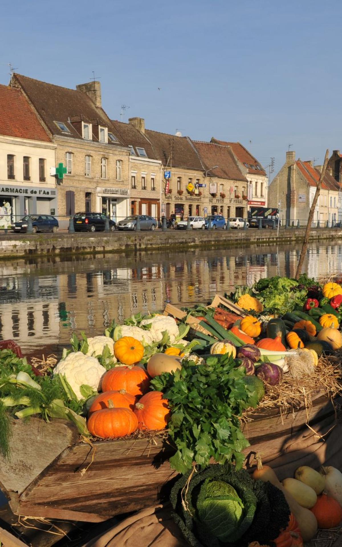 Que faire autour de Saint-Omer ? Office de Tourisme du Pays de Saint-Omer