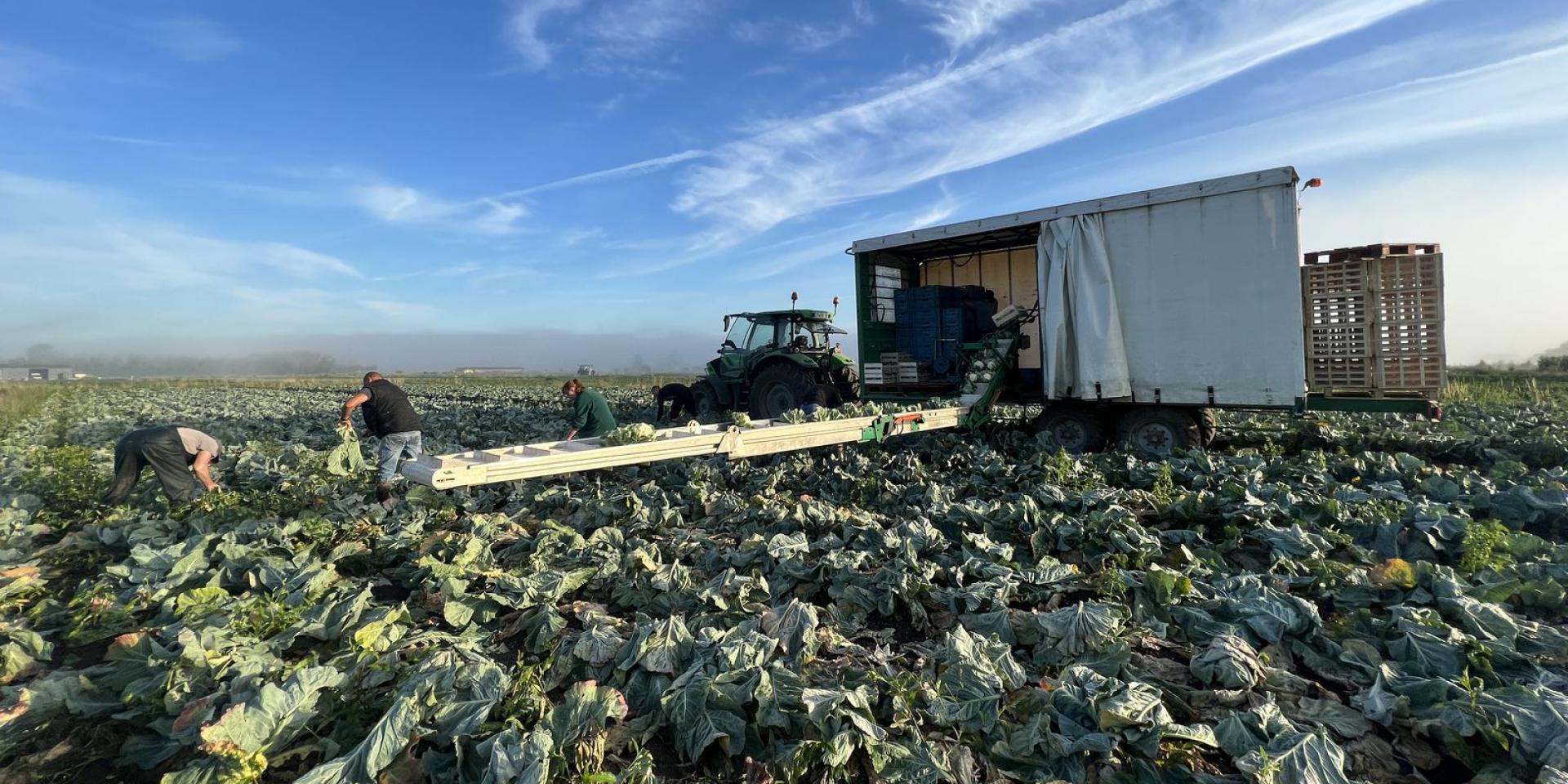 Portret van een tuinder Xavier Morel | Toeristenbureau van het Pays de ...