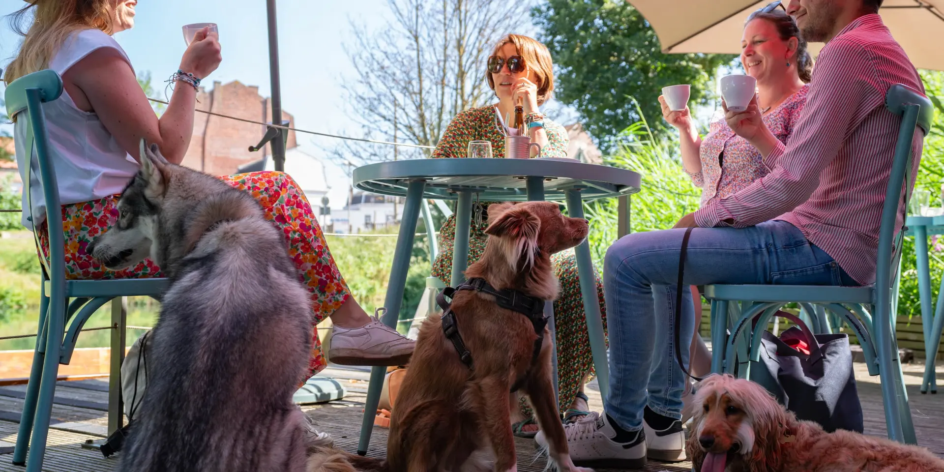 Restaurants avec son chien | Office de Tourisme du Pays de Saint-Omer ...