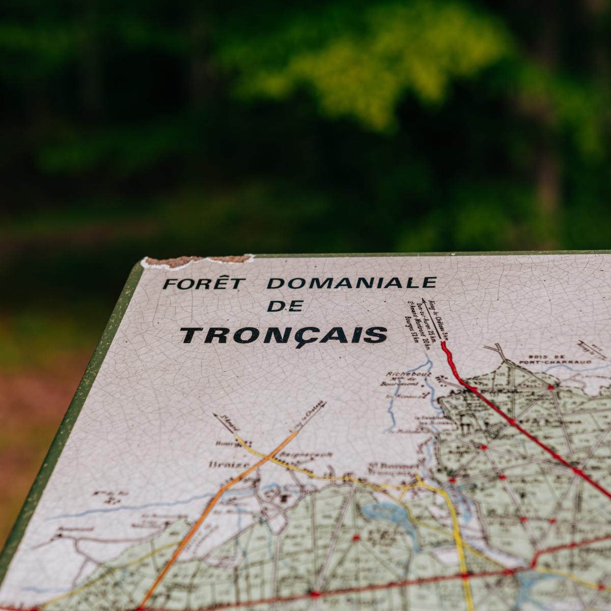 Tronçais Forêt d’Exception | Montluçon Tourisme