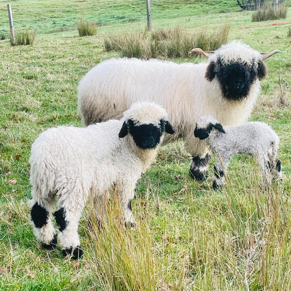 En famille | Montluçon Tourisme