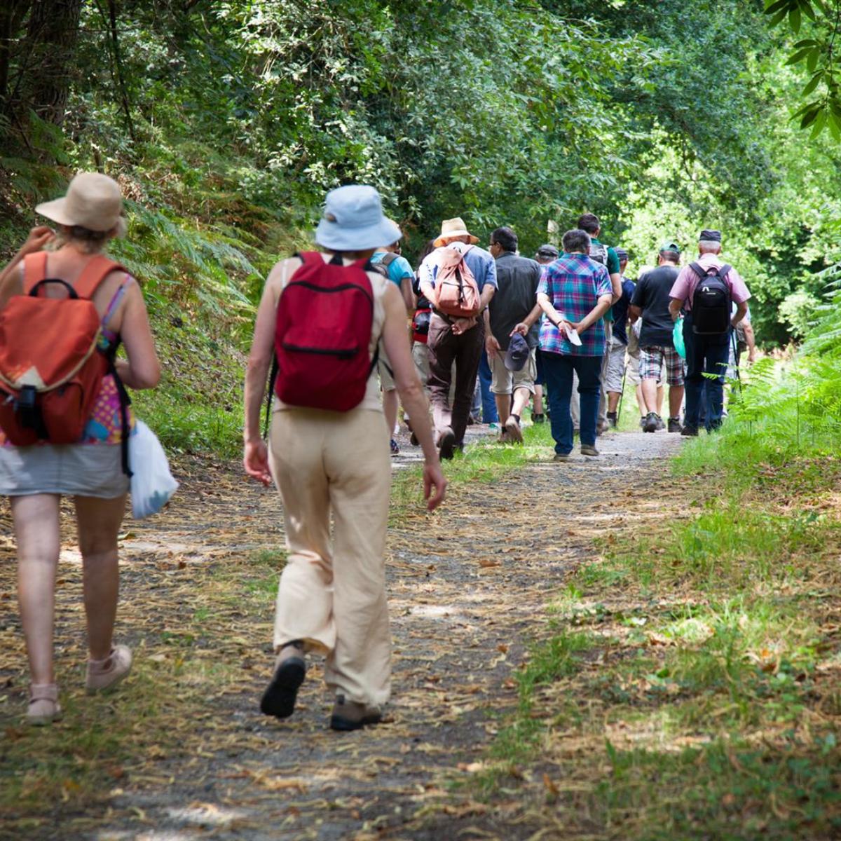 Loir Valley Tourism | Loir river, une signature du territoire, rivière ...