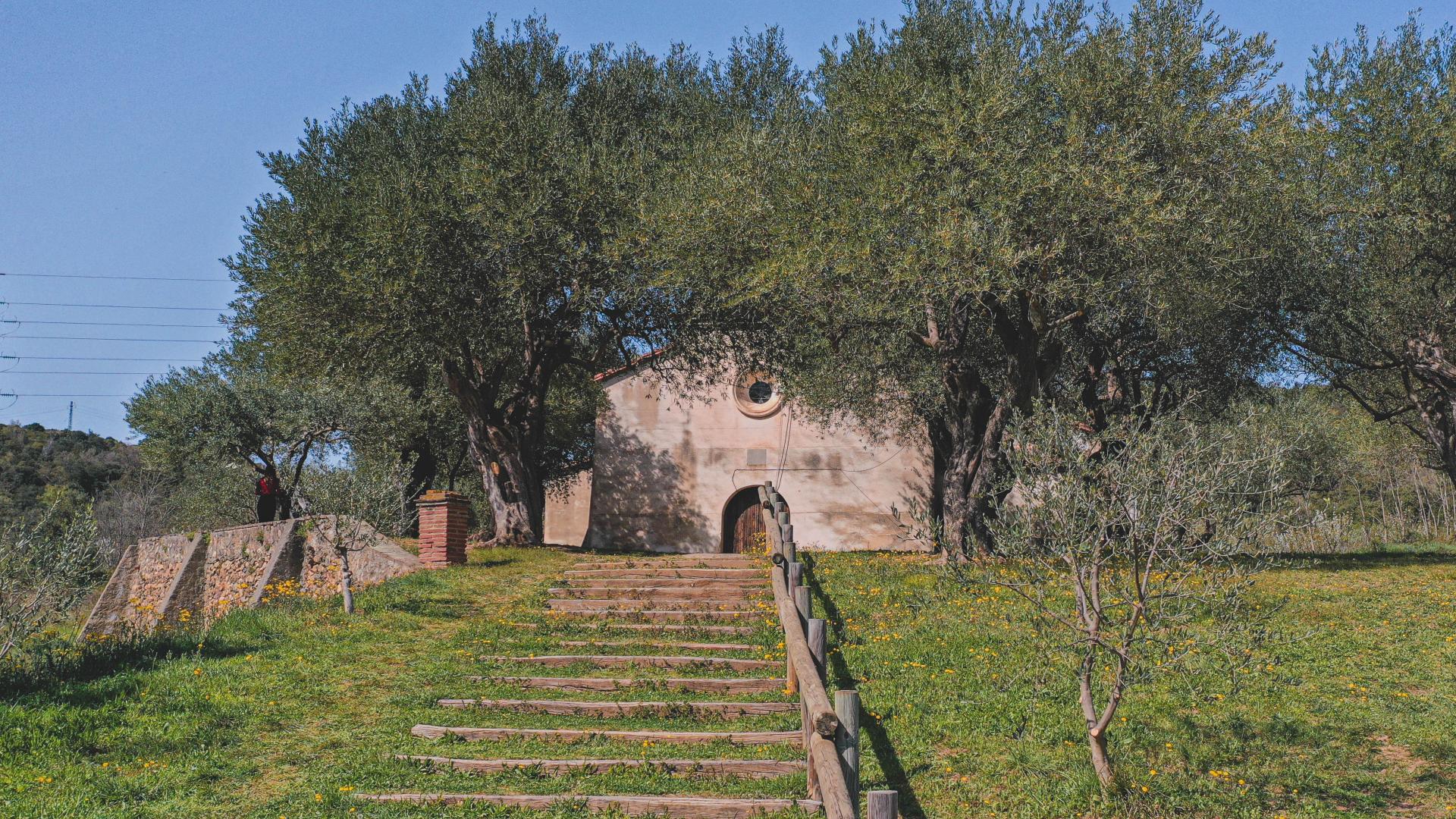 PATRIMOINE | Vallespir Tourisme