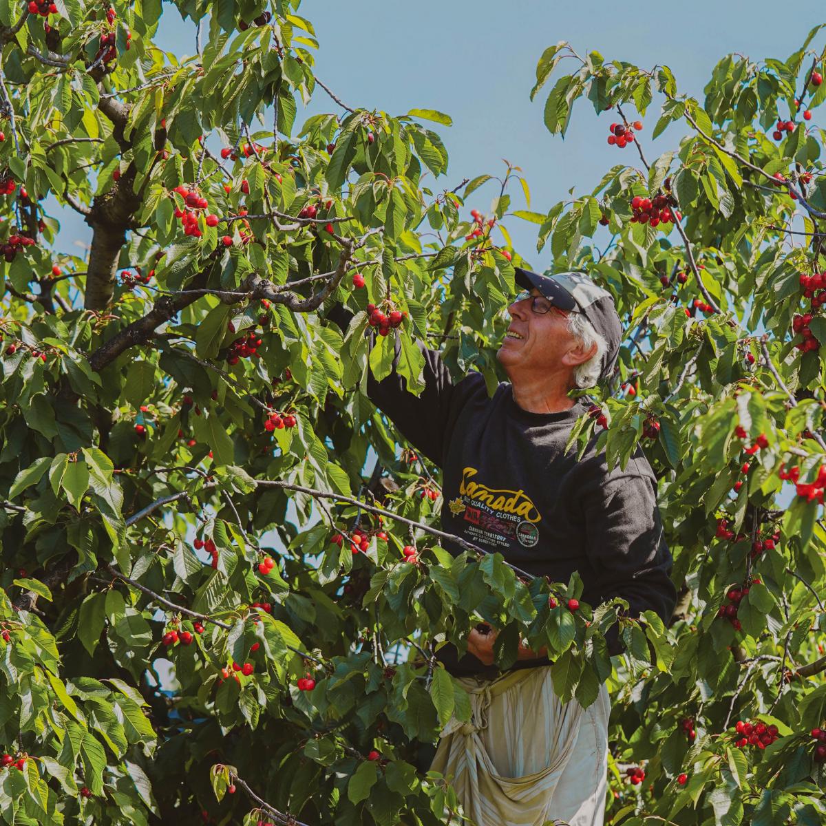 GASTRONOMÍA Y PRODUCTOS LOCALES | Página web oficial de la Oficina de ...