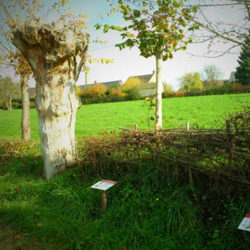 la Maison Botanique de Boursay | Office de Tourisme de Vendôme