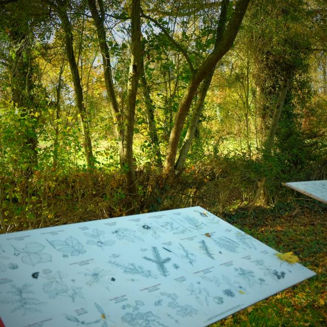 la Maison Botanique de Boursay | Office de Tourisme de Vendôme