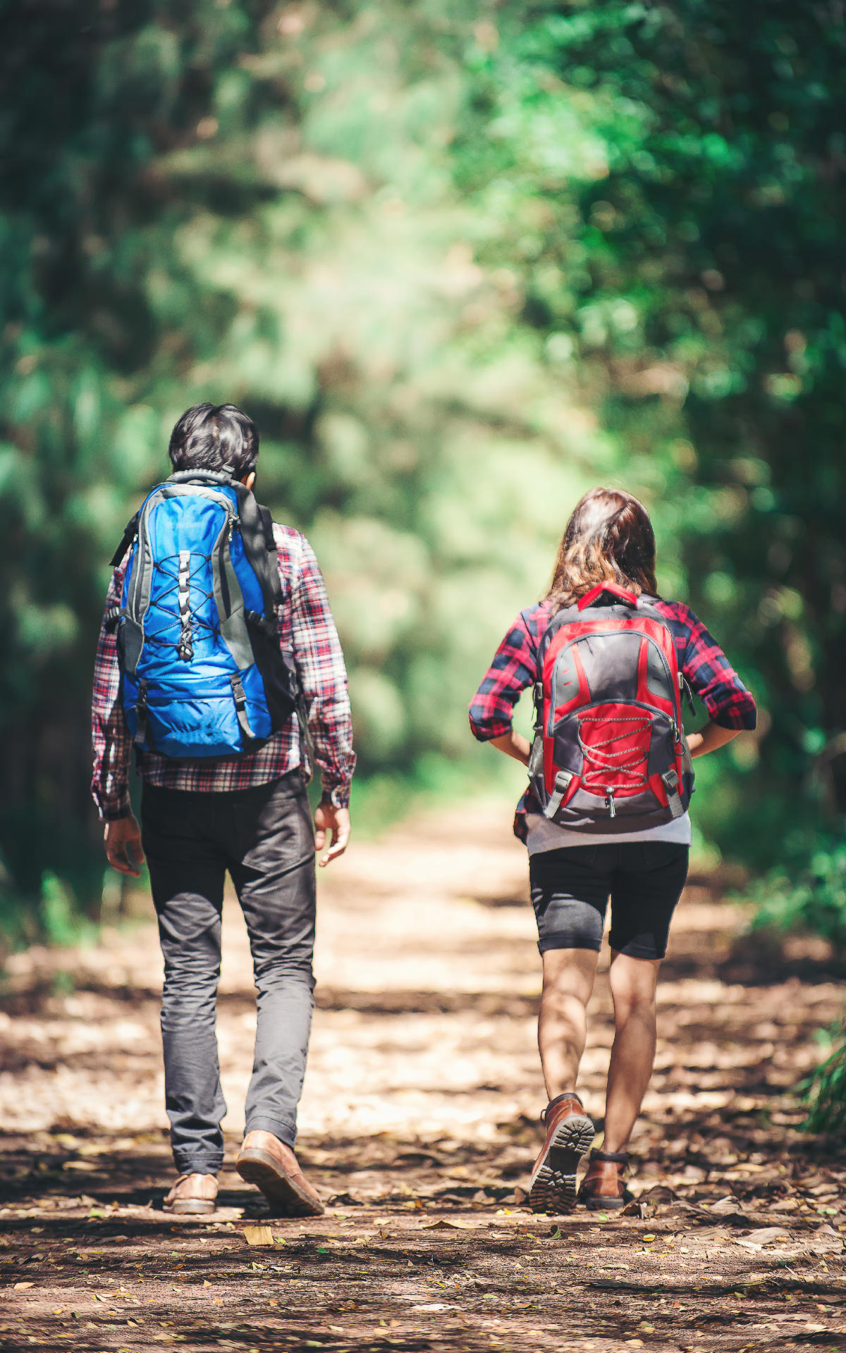 Terre de rando & balades | Ventadour-Egletons-Monédières en Corrèze