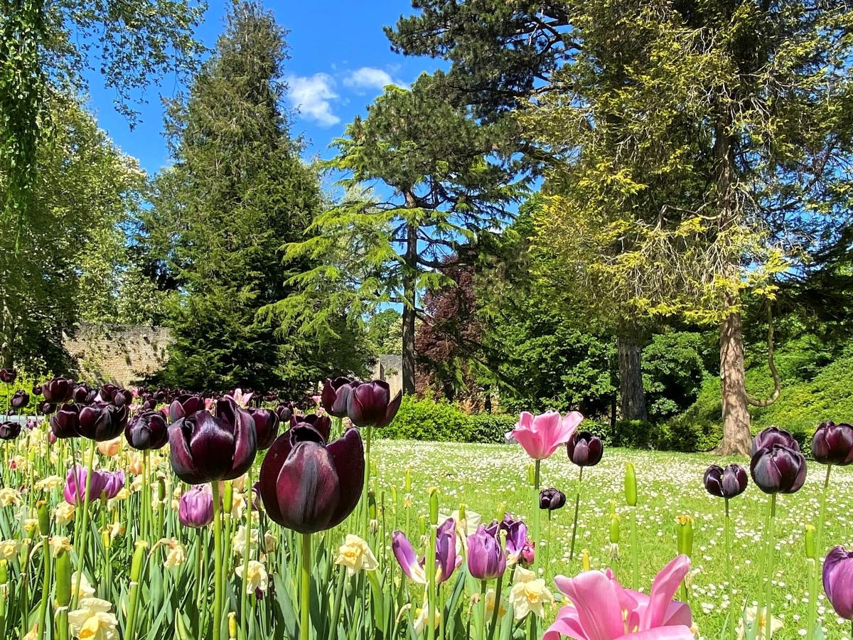 Golf de Rebetz (Chaumont-en-Vexin) | Vexin Normand Tourisme