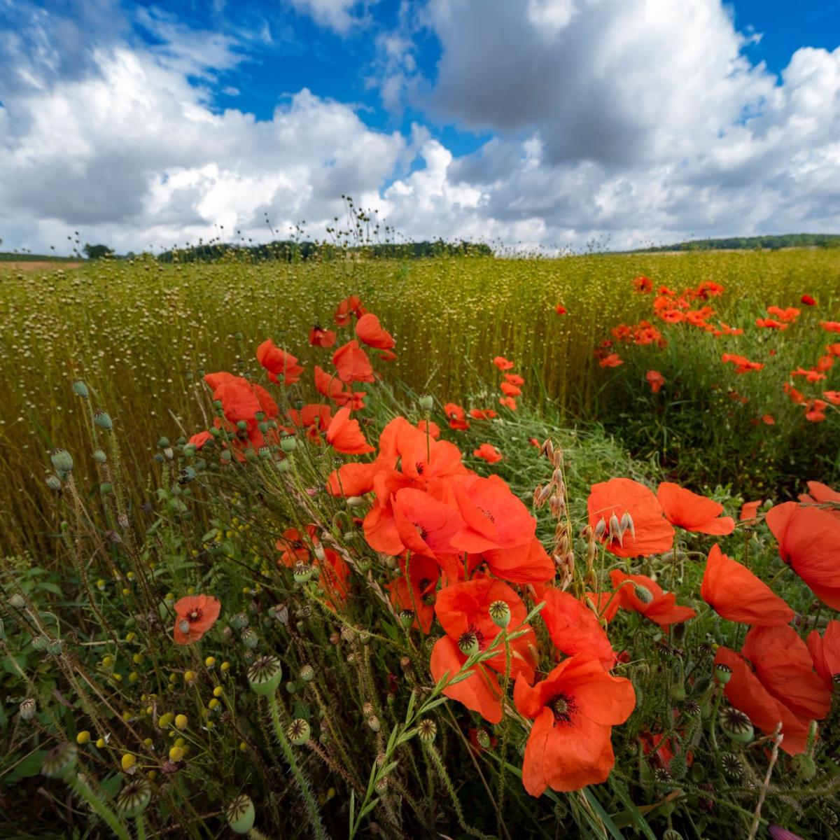 Vexin Normand, land of medieval history | Vexin Normand Tourisme