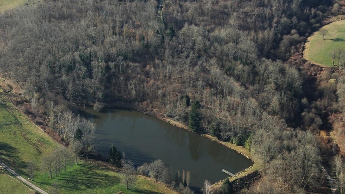 Pêche en famille à la journée dans un étang privé