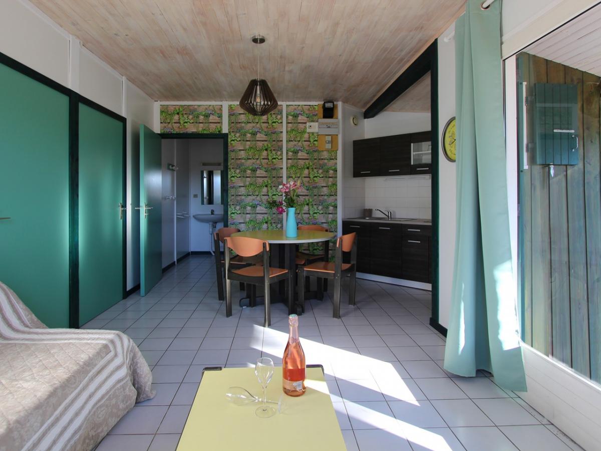 Visit Provence in south France holidays rentals