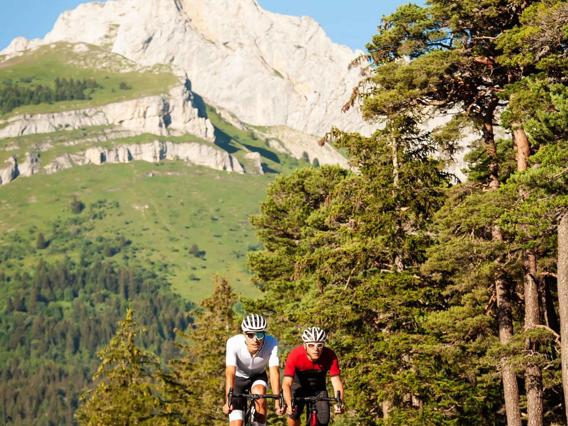 Vélo de route | Office de tourisme de Villard de Lans / Corrençon en ...