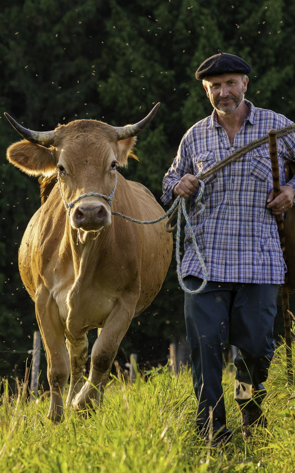 Patrimoine et tradition | Office de tourisme de Villard de Lans ...