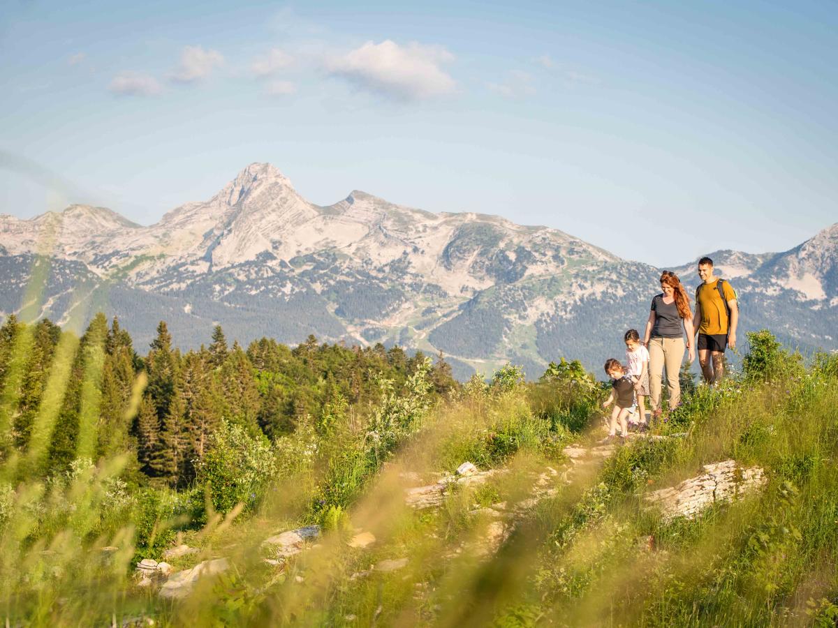 Tous les hébergements | Office de tourisme de Villard de Lans ...